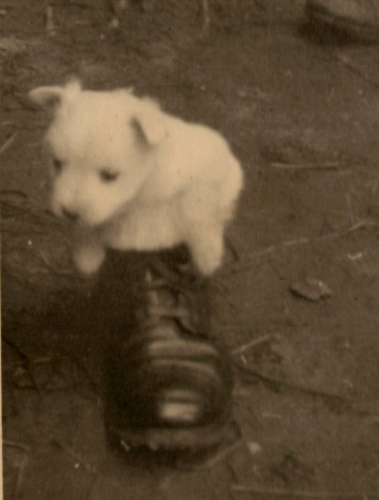 Major – Military Mascot Statesmen 1st army band – WorldWarTwoVeterans.com