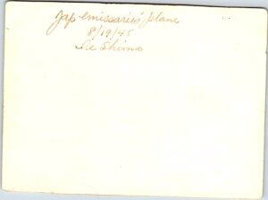 Helander George V 31257309 PTO 80th Fighter Squadron “headhunters ...